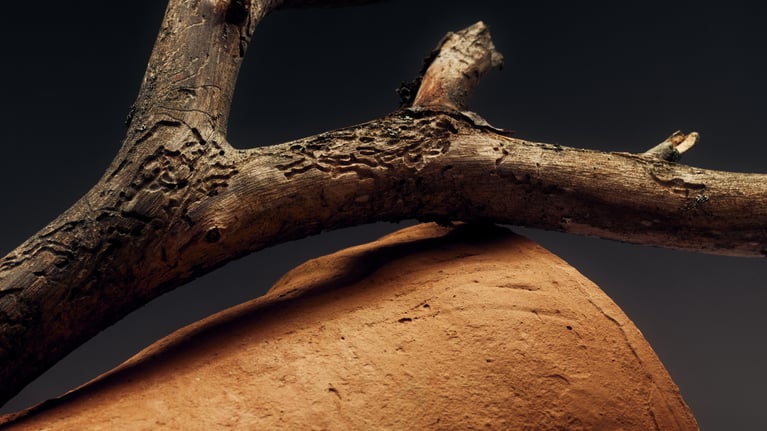 Thales FAQ: learn more about the strategy behind DARWIN THA | Darwinex